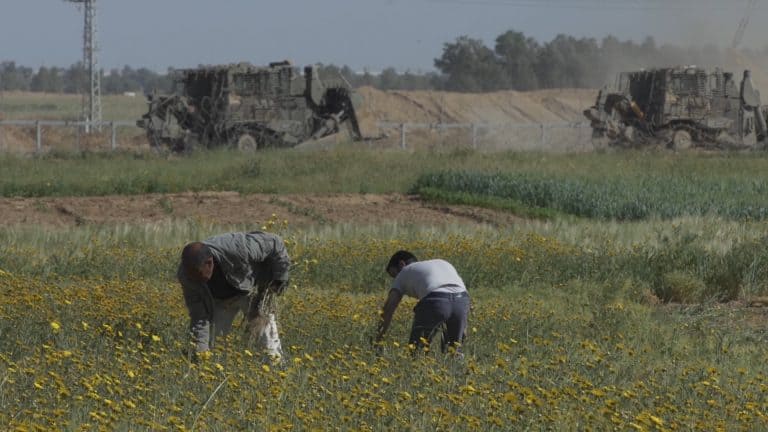 Herbicidal Warfare In Gaza ← Forensic Architecture