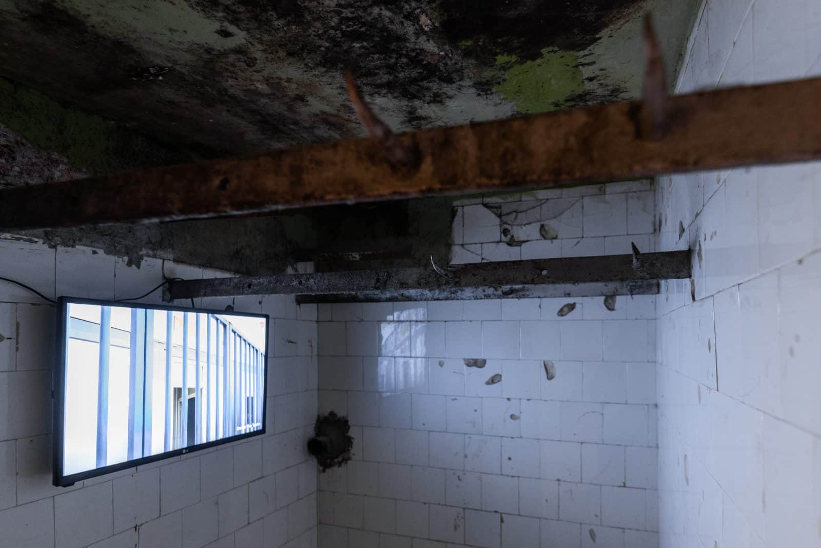 Forensic Architecture at Timisoara Architecture Biennial ← Forensic ...