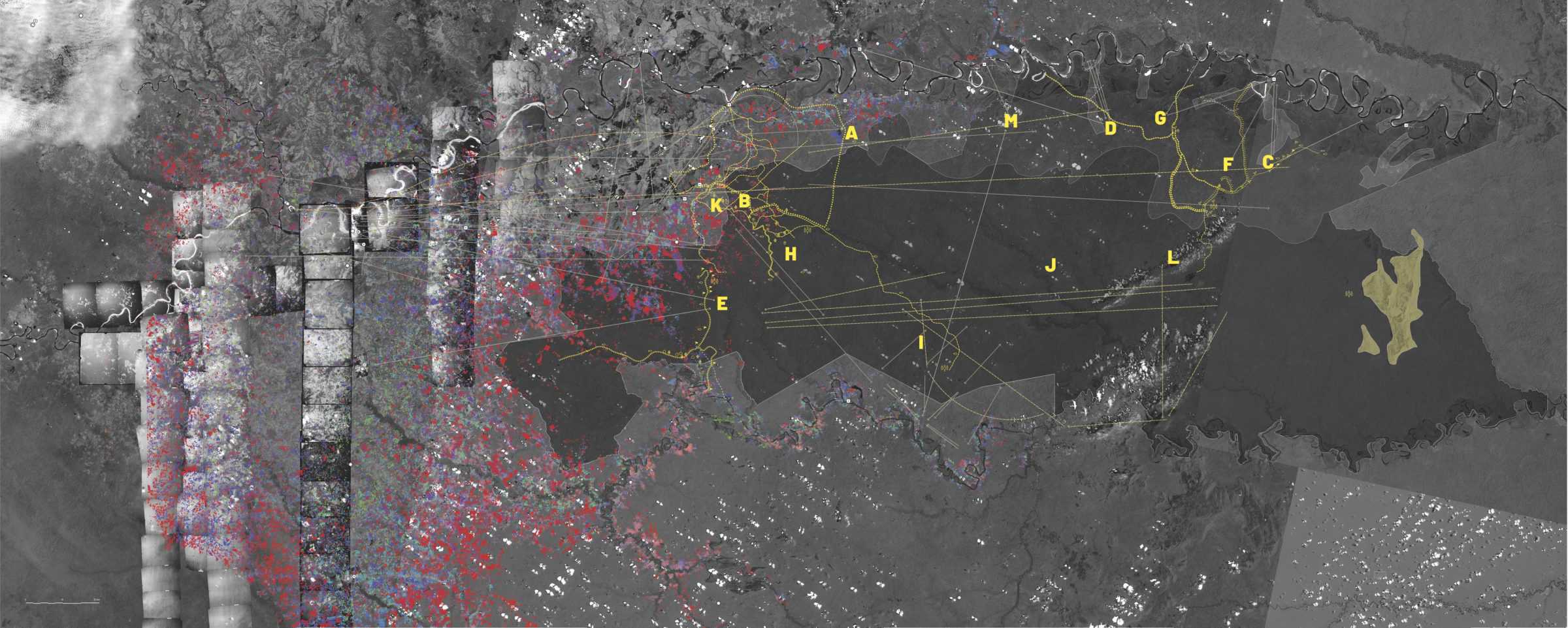 The Forest Under Detection ← Forensic Architecture