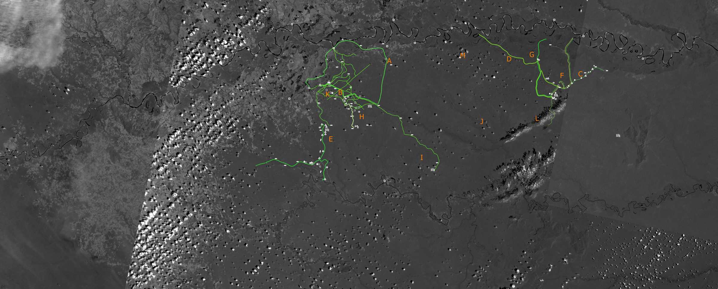 The Forest Under Detection ← Forensic Architecture