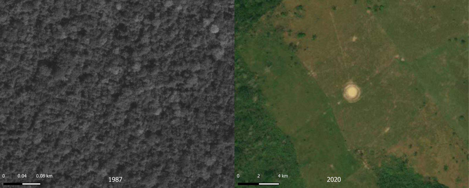 The Forest Under Detection ← Forensic Architecture