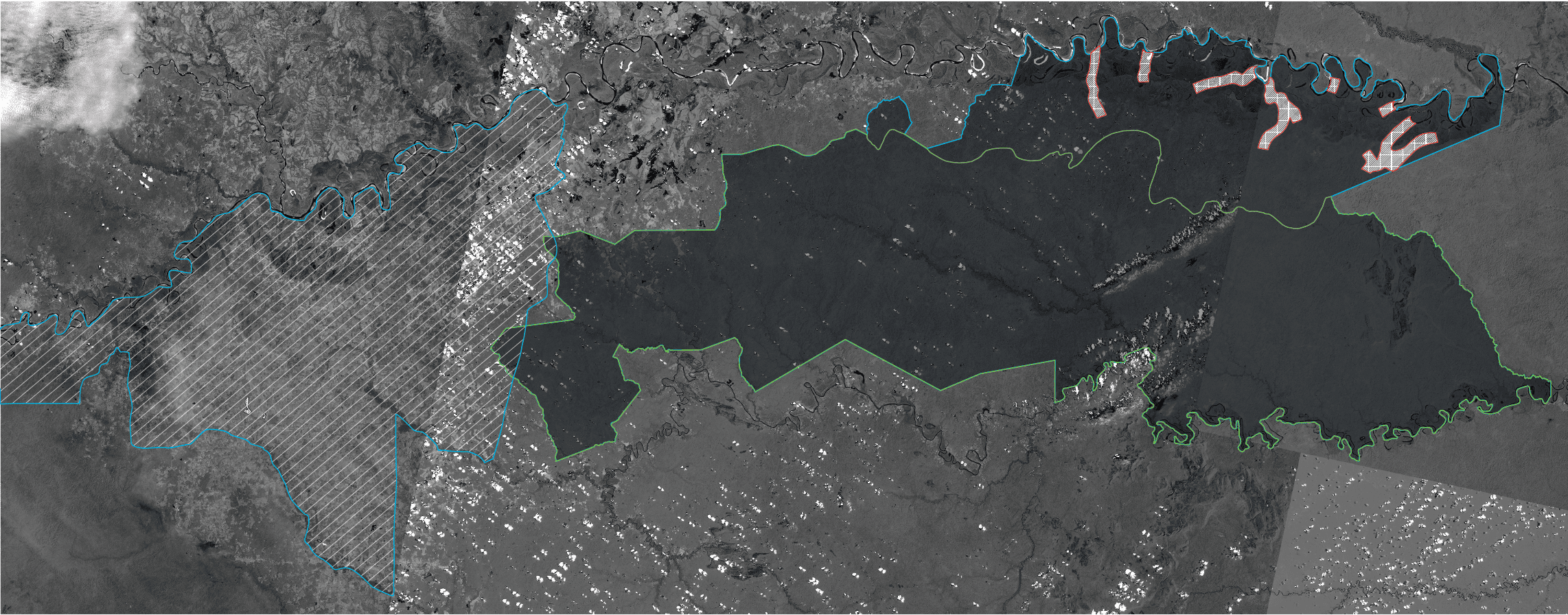 The Forest Under Detection ← Forensic Architecture